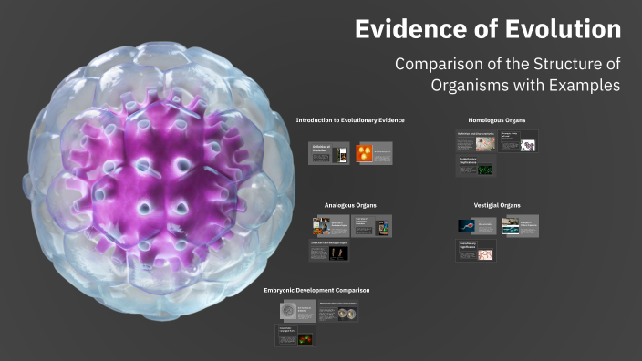 58 / 5.000 Evidence of evolution - COMPARISON OF THE STRUCTURE OF ORGANISMS (with examples) by ...