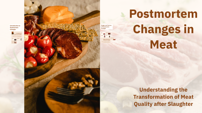 Postmortem Changes in Meat by tashi om on Prezi