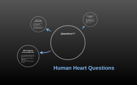 Human Heart Questions by Domenic Iozzi