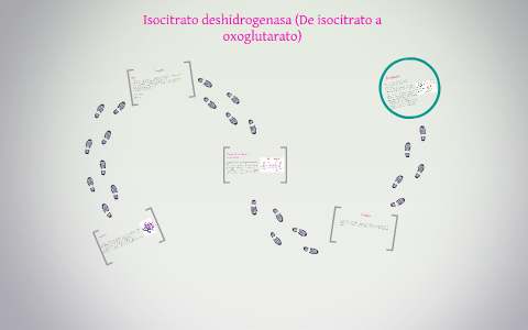 Isocitrato deshidrogenasa (De isocitrato a oxoglutarato) by on Prezi