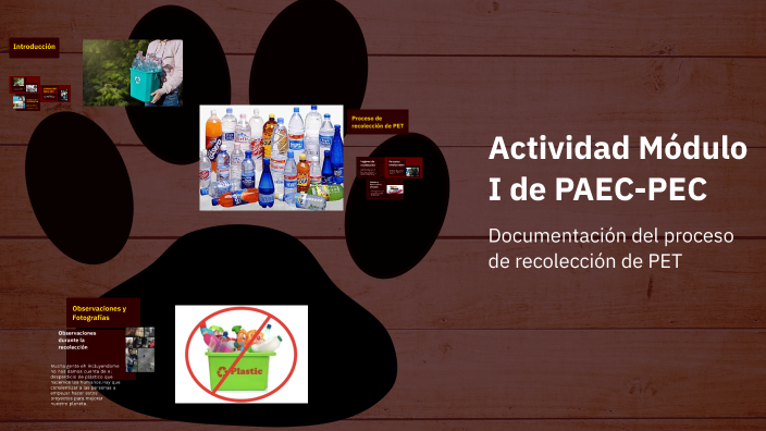 Actividad Módulo I de PAEC-PEC by 7uyutyur iy67tt76t on Prezi