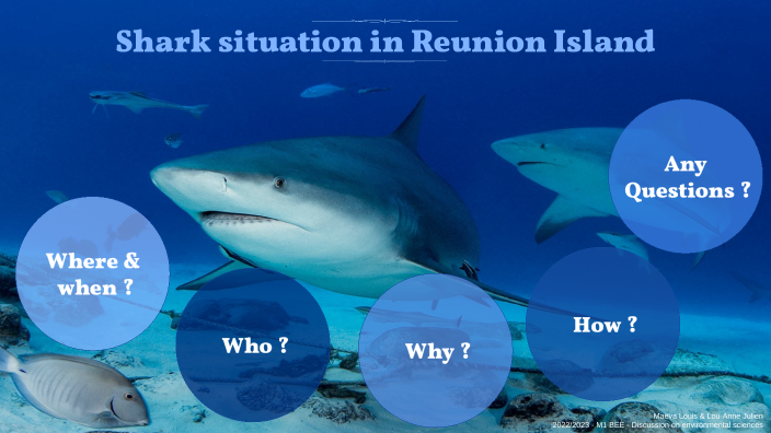 Shark Reunion Island by Lou-Anne Julien on Prezi