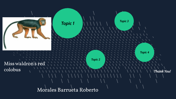 miss waldron's red colobus by Roberto Morales Barrueta on Prezi