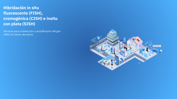 Hibridación in situ fluorescente (FISH), cromogénica (CISH) e insitu ...
