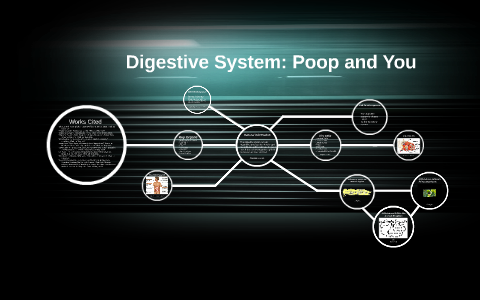 Digestive System: Poop and You by Adam Stutzman on Prezi