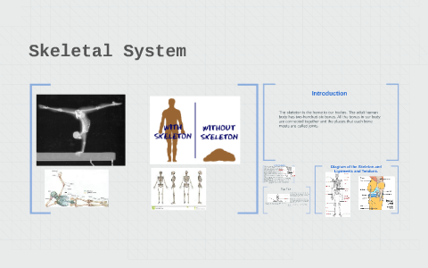Skeletal System by on Prezi