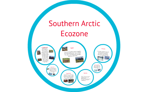 Southern Arctic Ecozone by mary pangilinan on Prezi