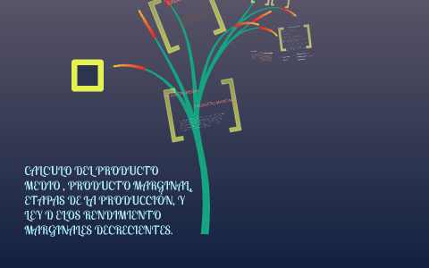 CALCULO DEL PRODUCTO MEDIO, PRODUCTO MARGINAL, ETAPAS DE LA PRODUCCIÓN ...