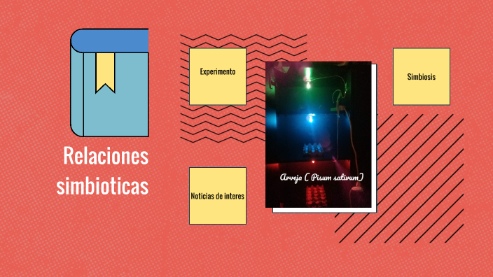 Relaciones simbioticas en plantas de arveja by Yeny Torres on Prezi