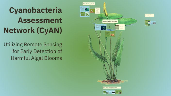 Cyanobacteria Assessment Network by Danny Pasminski on Prezi