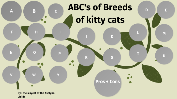 abcs of kitty cats by ashlynn childs on Prezi
