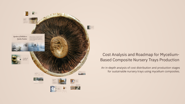Cost Analysis and Roadmap for Mycelium-Based Composite Nursery Trays ...