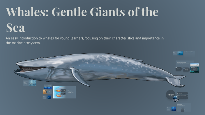 Whales: Gentle Giants of the Sea by Álmos Álmos on Prezi