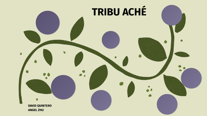 TRIBU ACHÉ by angel zhu on Prezi