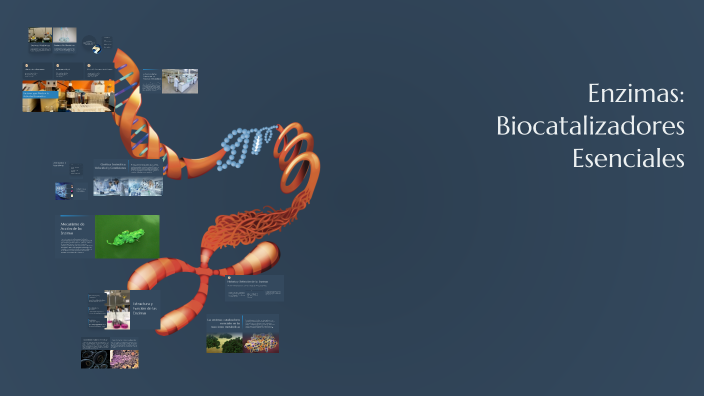 Enzimas: Biocatalizadores Esenciales by Patricia Rosas on Prezi