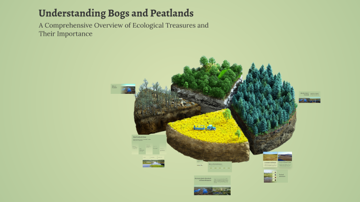 Understanding Bogs and Peatlands by Anton Roß on Prezi
