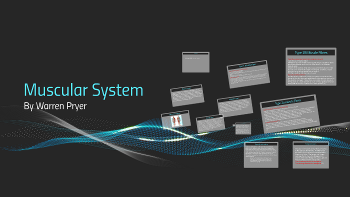Muscular System by Warren Pryer on Prezi
