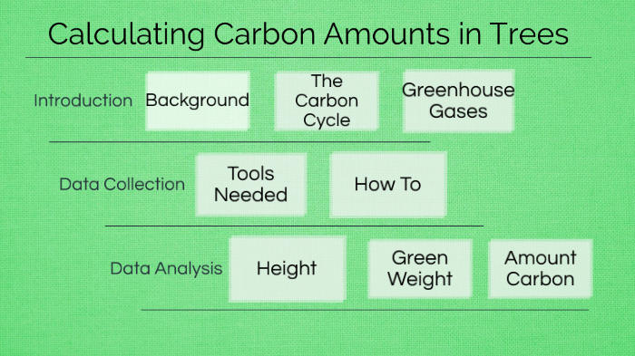 Calculating Carbon Amounts in Trees by Stefanie Mazzeo on Prezi