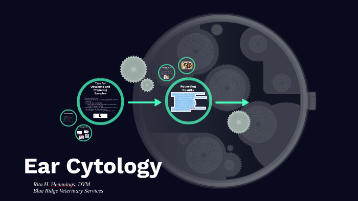 Ear Cytology by Rita Hemmings on Prezi