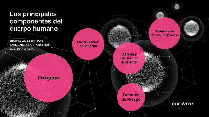 los principales componentes del cuerpo humano by Andrea Alcazar on Prezi
