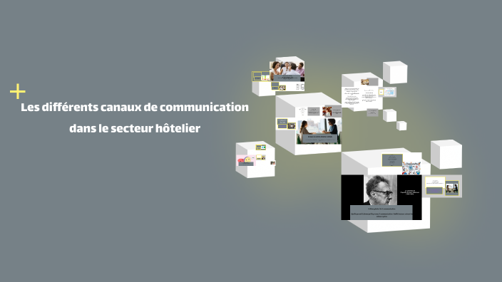 Les différents canaux de communication by Anaë Sadourny on Prezi