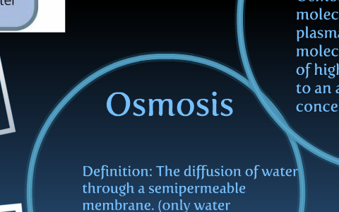 Osmosis Definition