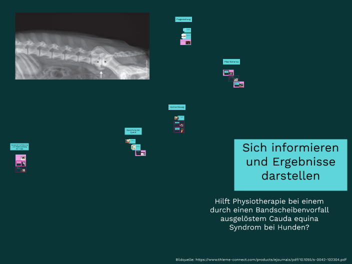 Sich informieren und Ergebnisse darstellen by Desti Akgül on Prezi
