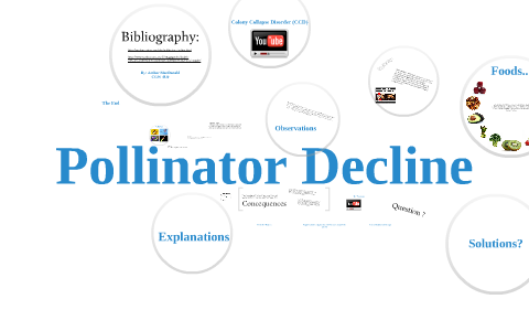 Geography: Pollinator Decline by Amber MacDonald on Prezi