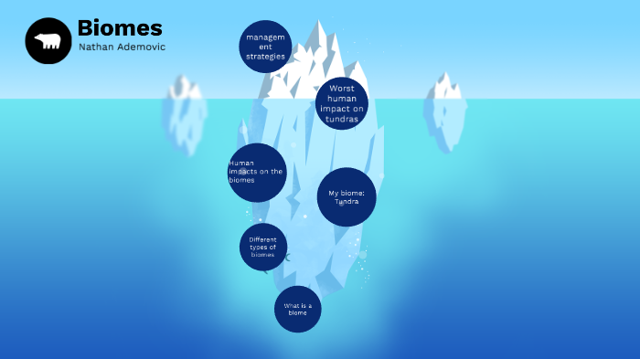 Human Impact on biomes by Nathan Ademovic on Prezi