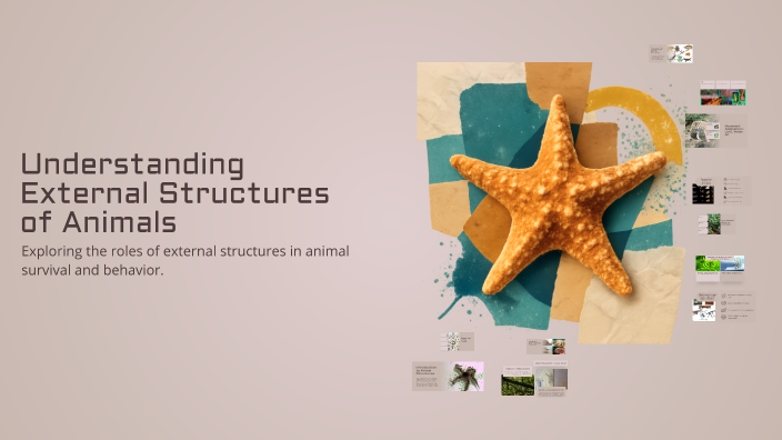 Understanding External Structures of Animals by Mohamed Abd ElSamea on ...