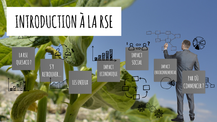 Introduction à la RSE by M C on Prezi