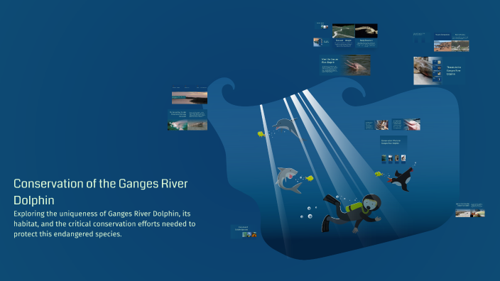Conservation of the Ganges River Dolphin by Ramjee Nagarajan on Prezi