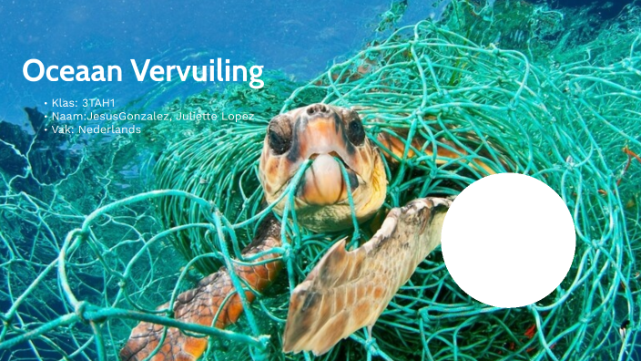oceaan vervuiling by jesus gonzalez on Prezi
