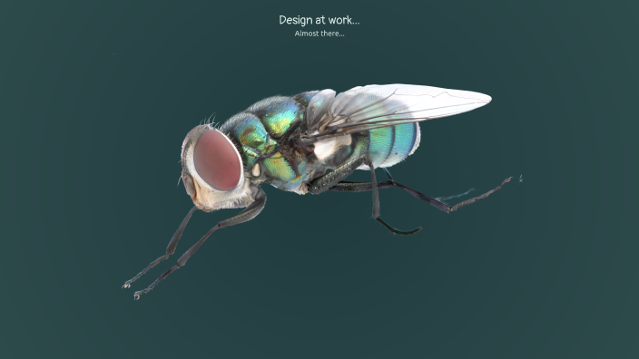 Optimizing Housefly Rearing Through Circadian Biology by mbaraka s juma ...