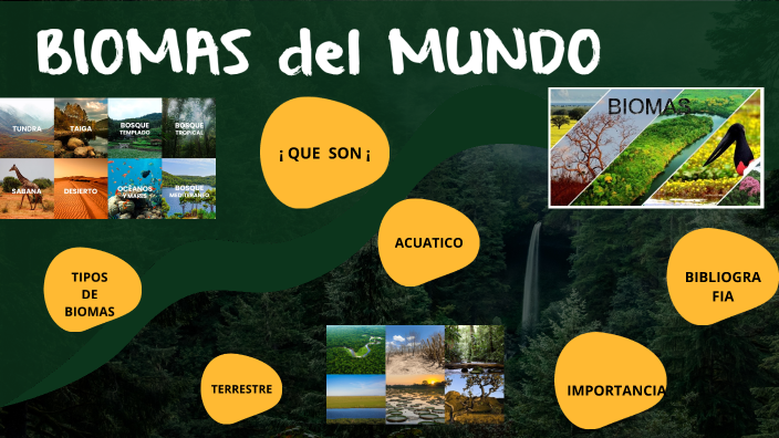 BIOMAS DEL MUNDO by Jandry Franco on Prezi