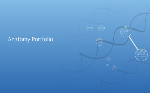 Anatomy Portfolio by Garrett Nichols