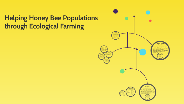 Helping Honey Bee Populations through Ecological Farming by Haley ...