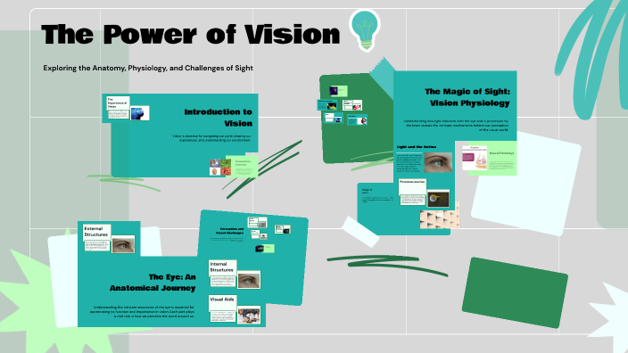 Understanding Vision: The Science Behind Sight by Pelin Al on Prezi