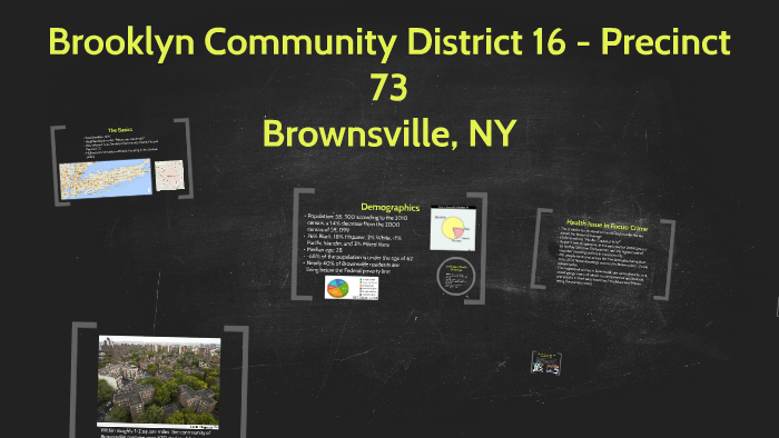 Brooklyn Community District 16 - Precinct 73 by Alyssa Nagpal on Prezi
