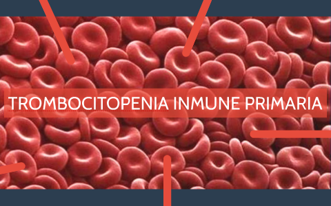 TROMBOCITOPENIA INMUNE PRIMARIA by on Prezi