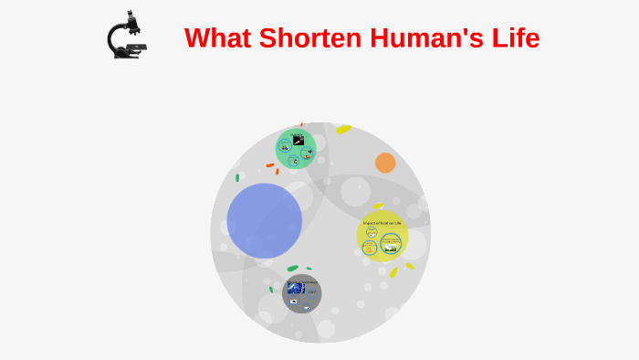 What Shorten human's life by Bill Zhang on Prezi