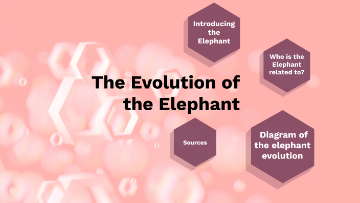 The evolution of the elephant by Samreen Gill on Prezi