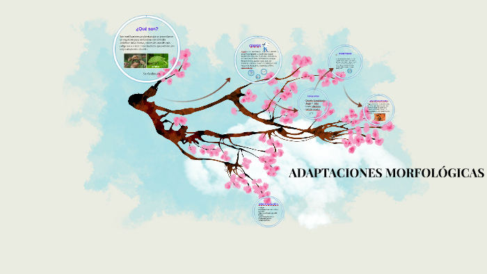ADAPTACIONES MORFOLÓGICAS by juan de la torre on Prezi