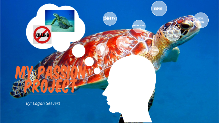 Saving Sea turtles by Logan Seevers on Prezi