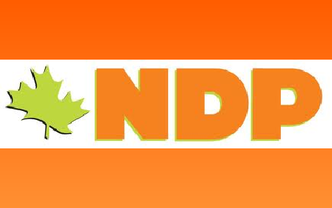 NDP Pros And Cons by Alec Green on Prezi