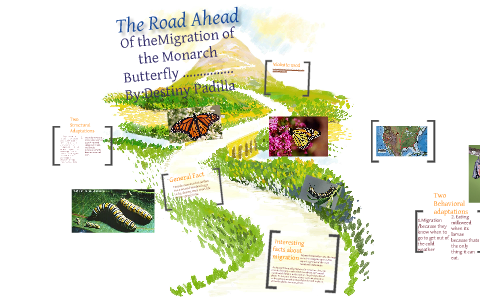 Science Migration of a Monarch butterfly by Destiny Padilla on Prezi