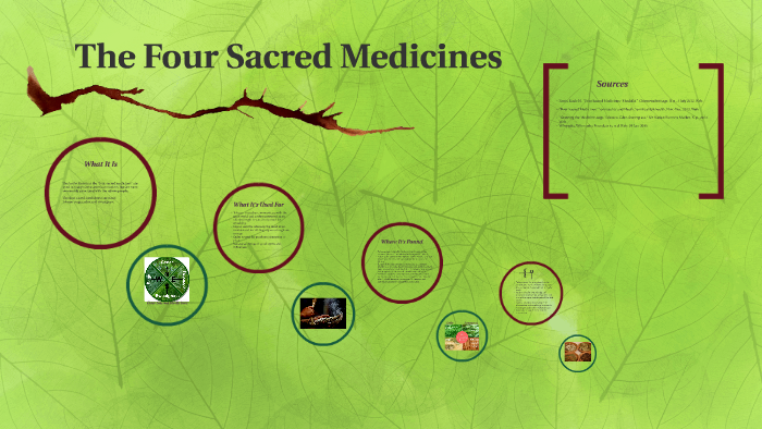 The Four Sacred Medicines by Rose Sanders on Prezi