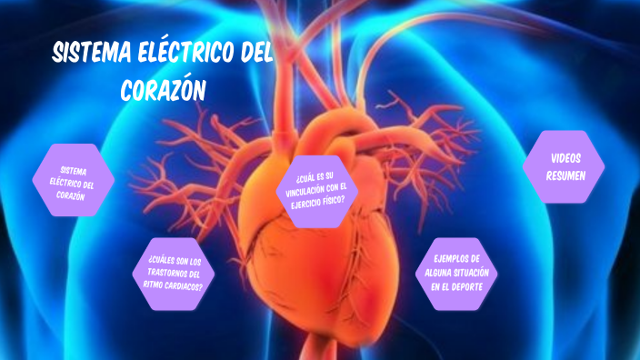Sistema eléctrico del corazón by Reyes De la Blanca Alonso on Prezi