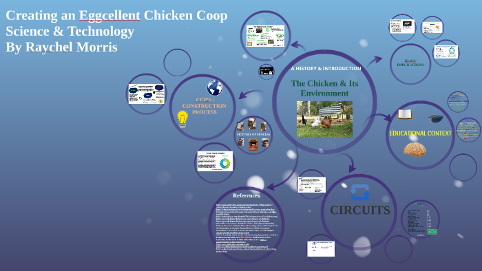 Creating an Eggcellent Chicken Coop by Raychel Morris
