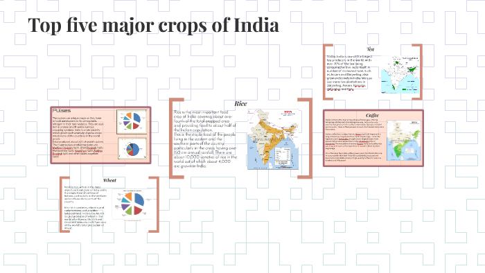 Top five major crops of India by Sarthak Srivastava